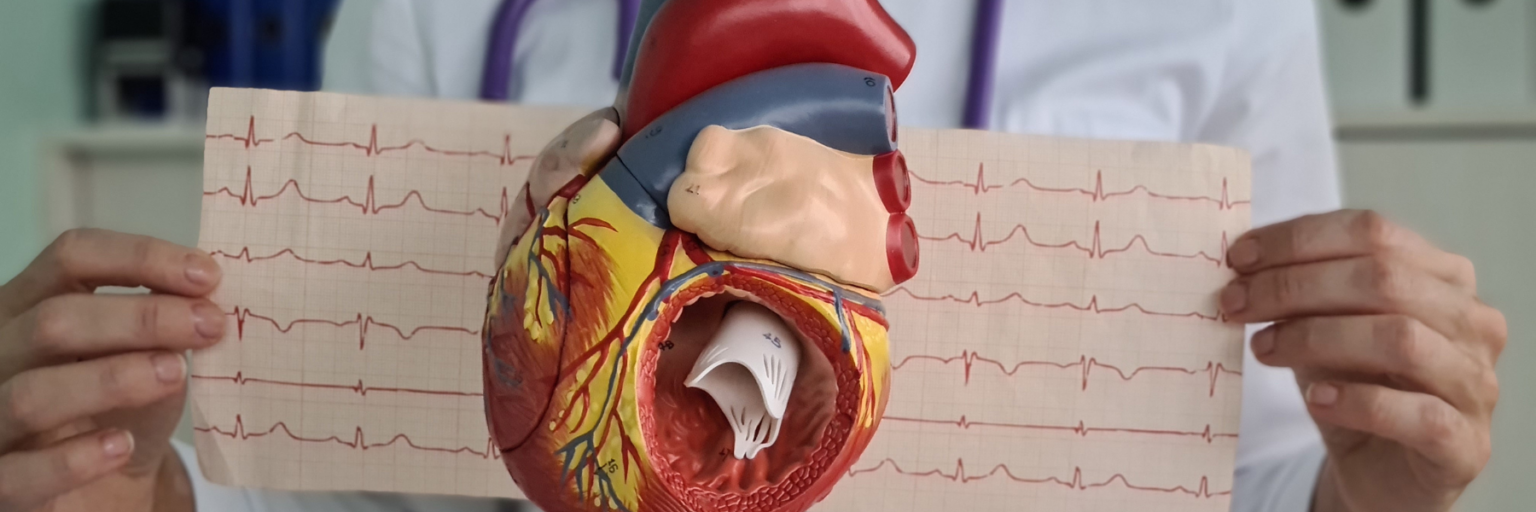 Electrocardiogram (ECG/EKG) Workshop – Canadian College for Higher Studies
